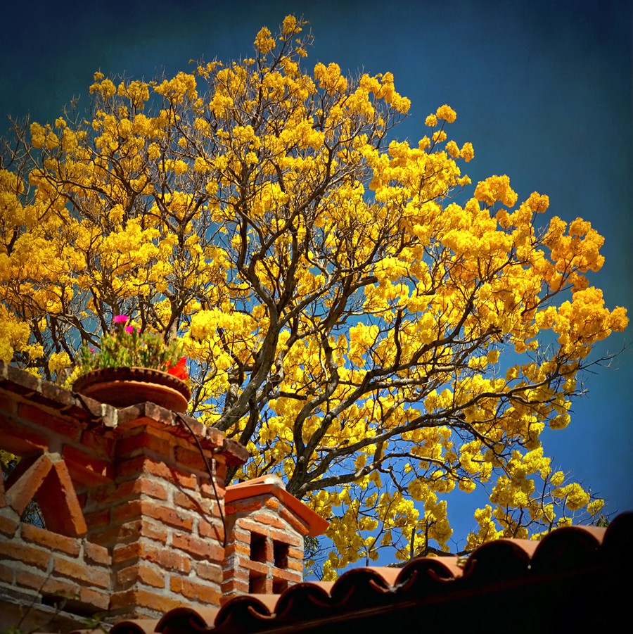 Spring Break: Sun, Sand in Mexico City - Mexico Blog