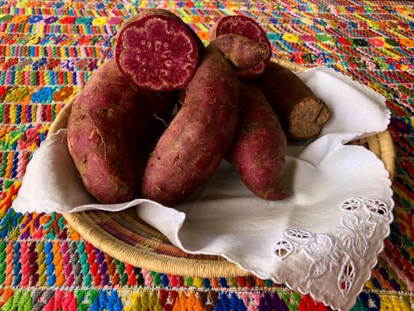 Six Mouthwatering Dishes to Try in Mexico City - Mexico Blog