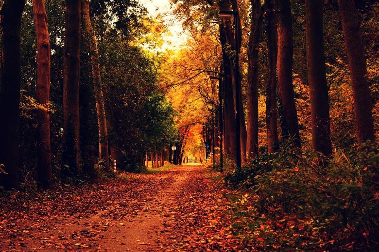 Mexico City - Tours and Travel Guide, Hotel Booking, Blogs